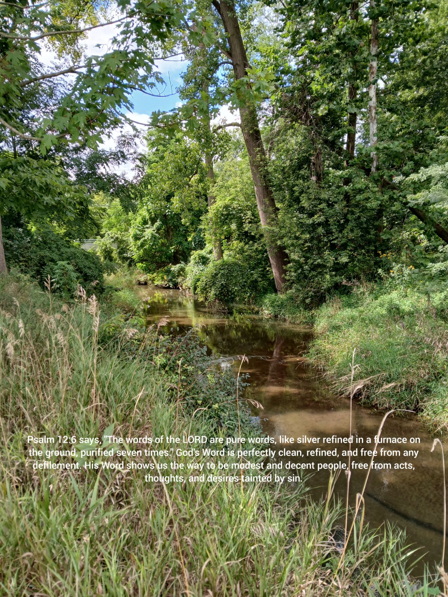 Pure Words – Reluctant Retiree