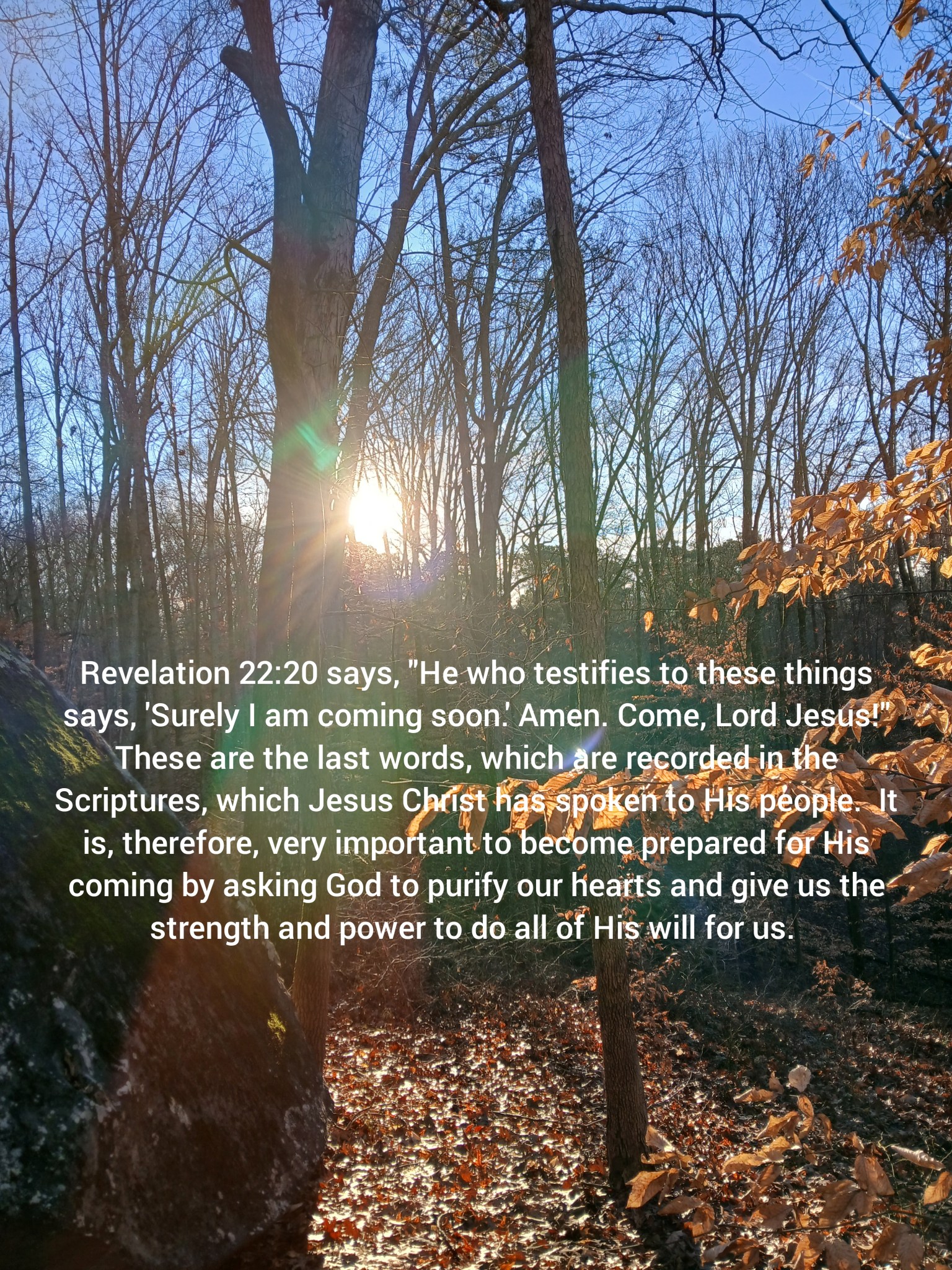The Last Recorded Words of Jesus – Reluctant Retiree